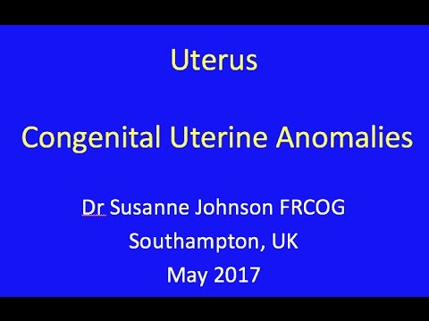 uterus_shape - GynaecologyUltrasound.com
